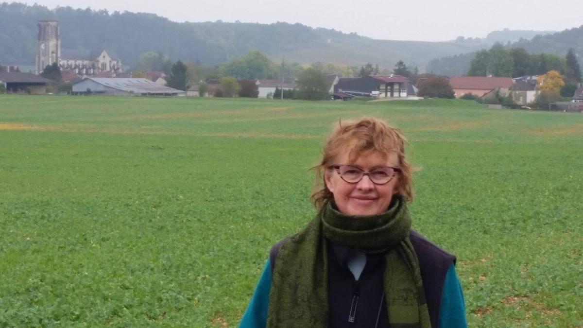 The best journeys are the long ones | Writing from the Heart, Reading ...